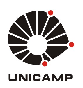 logo-unicamp – Cirurgia Plástica | Dr. Francisco Claro Jr.